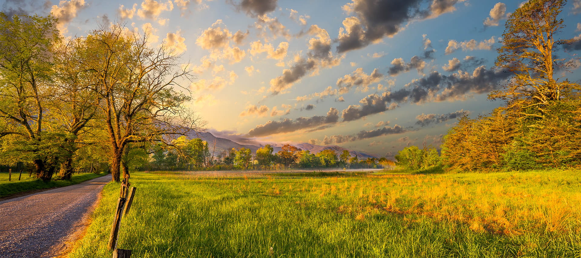 Resources - Silver Lake Capital Partners - Dallas, TX