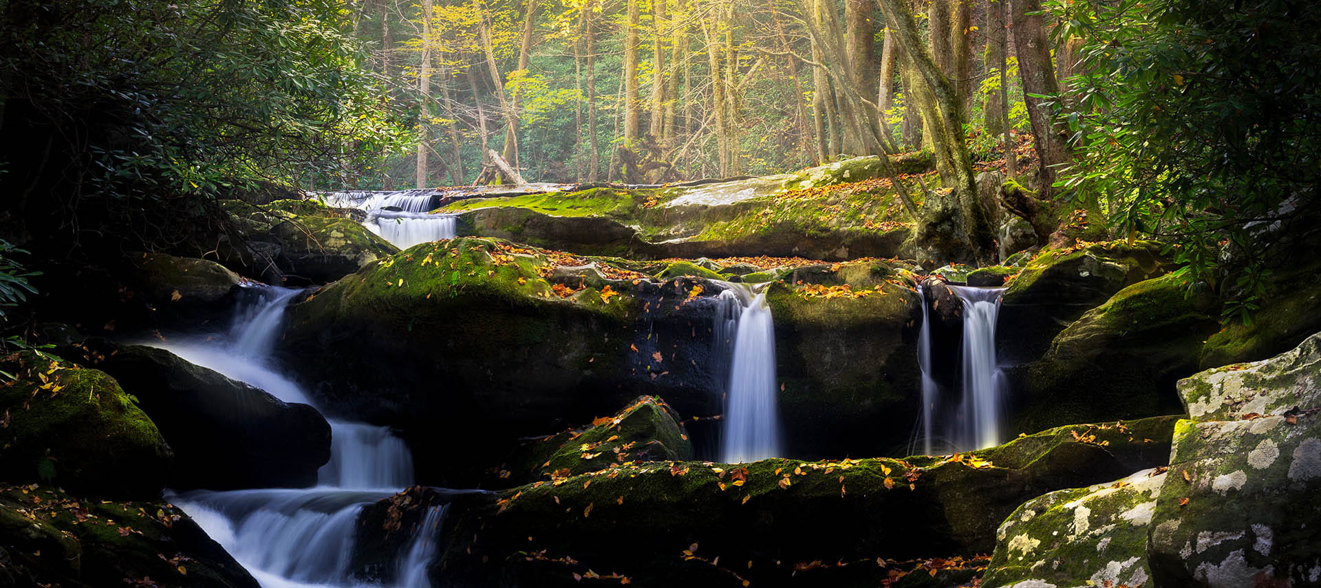 Retirees - Silver Lake Capital Partners - Dallas, TX