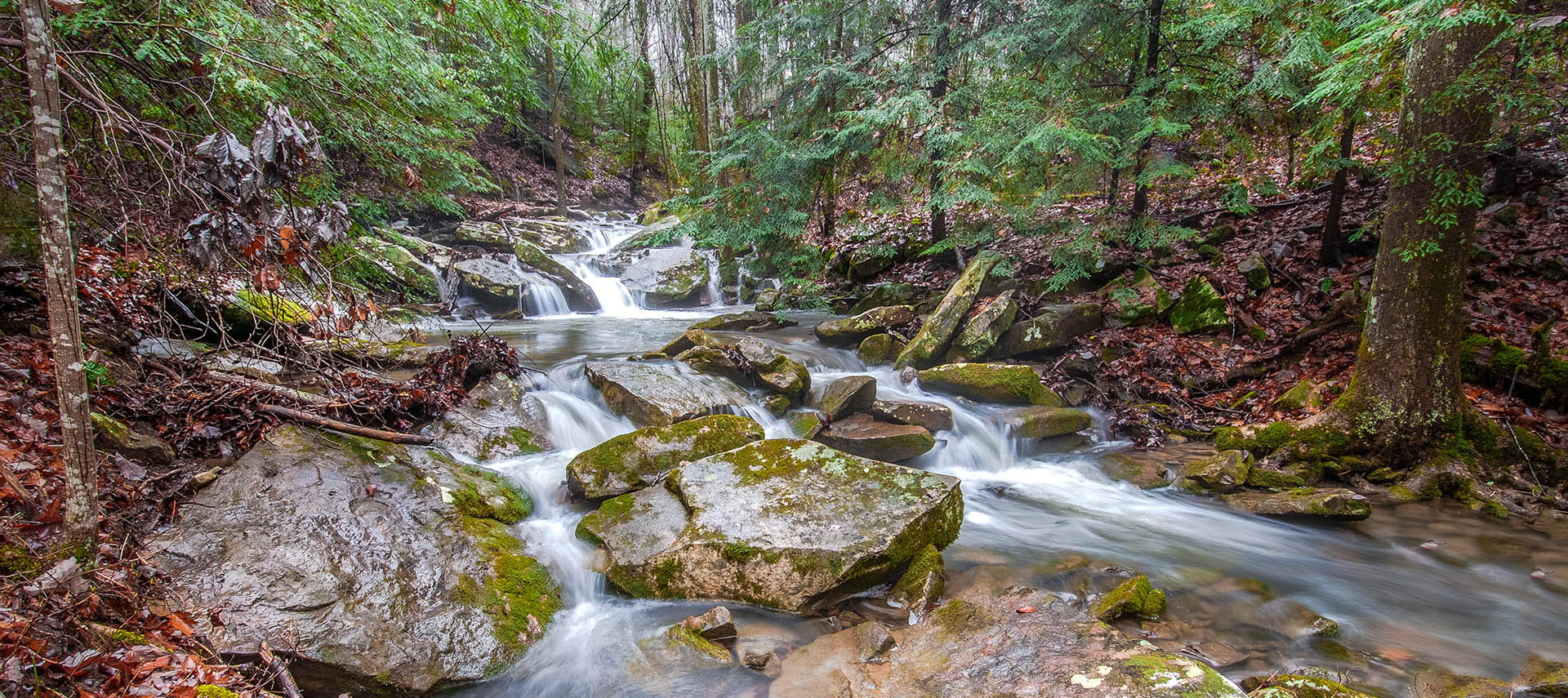 Longevity Planning Resources - Silver Lake Capital Partners - Dallas, TX